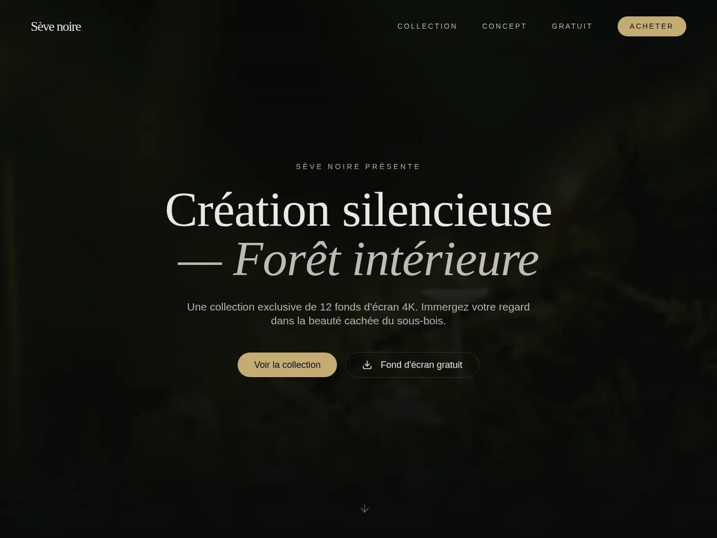 Forêt Intérieure Wallpapers