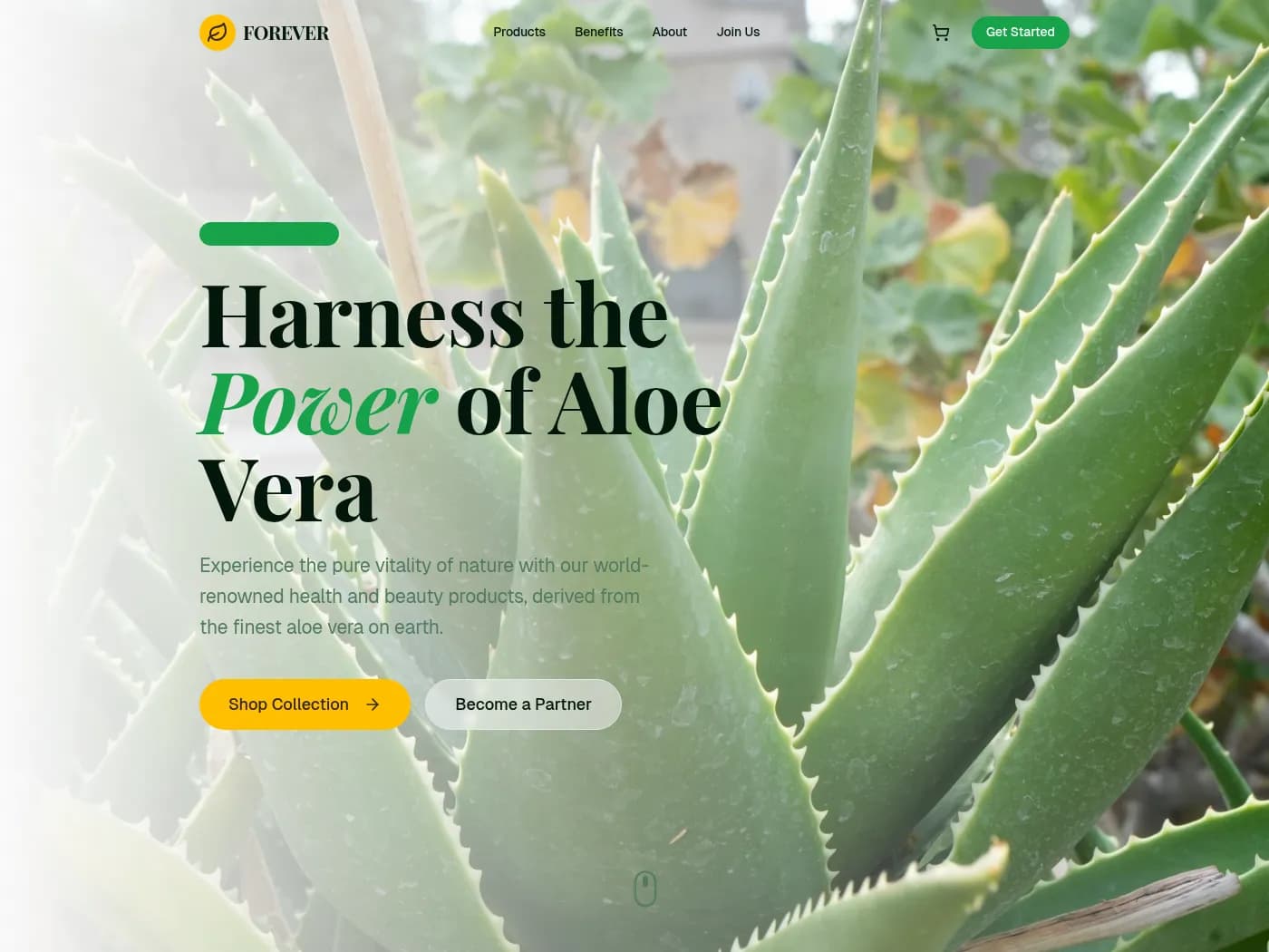 Forever Living Sites