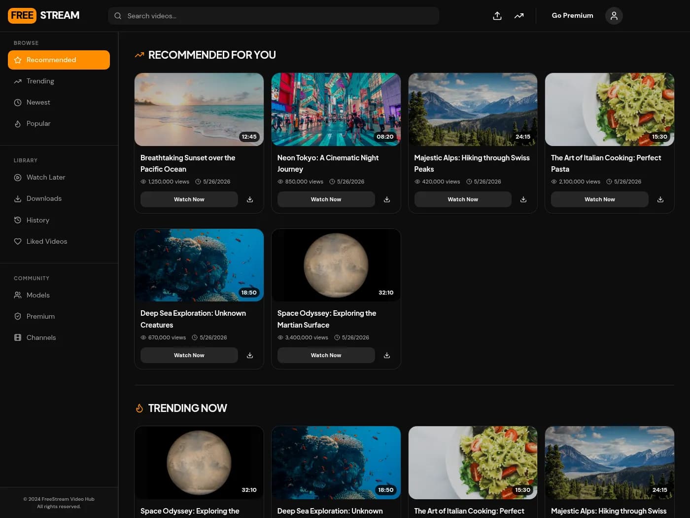 FreeStream Video Hub