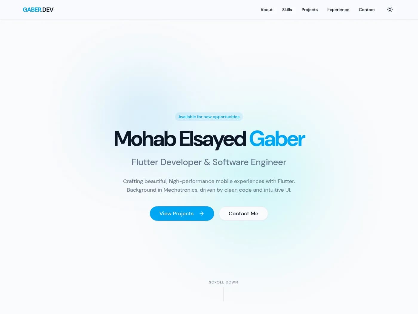 Gaber Dev Portfolio