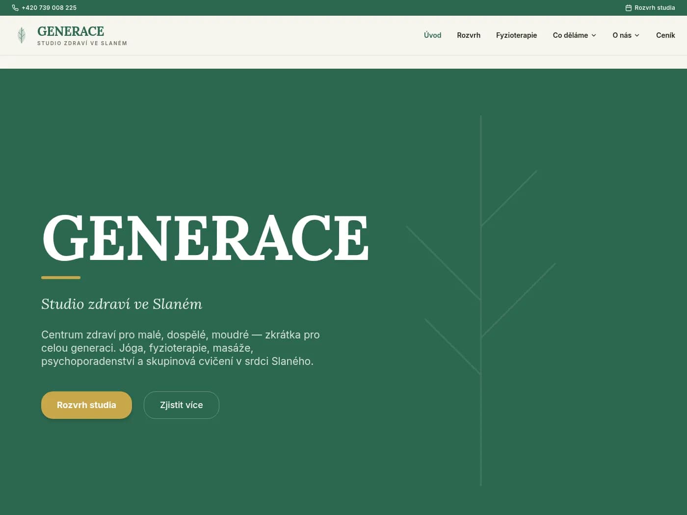 Generace Wellness Studio Web