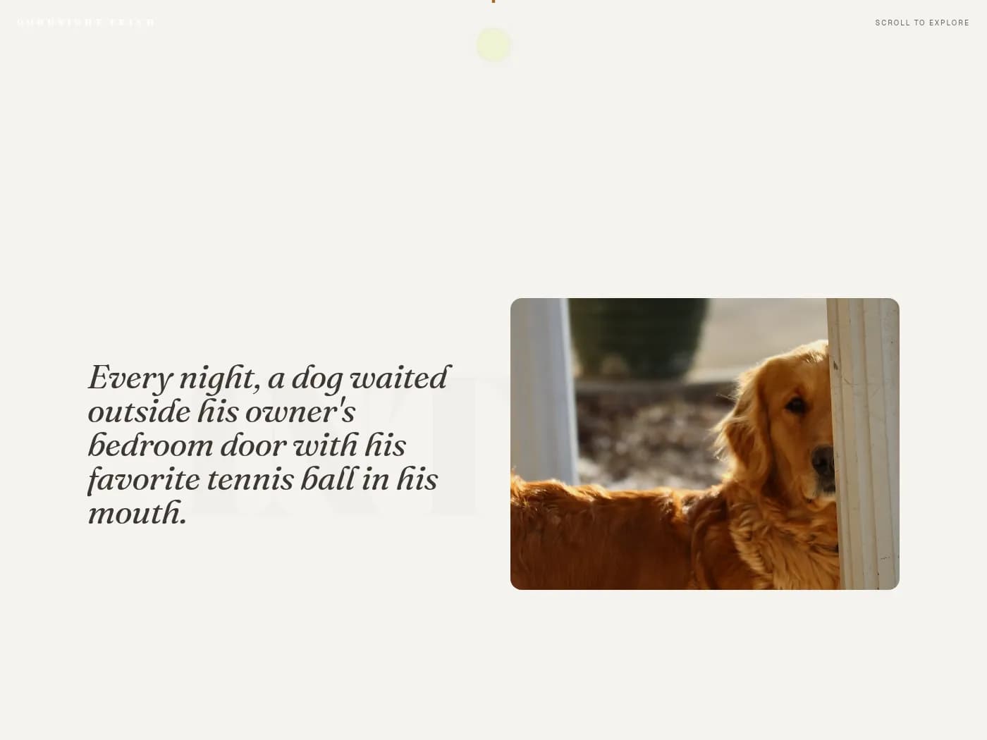 Goodnight Fetch