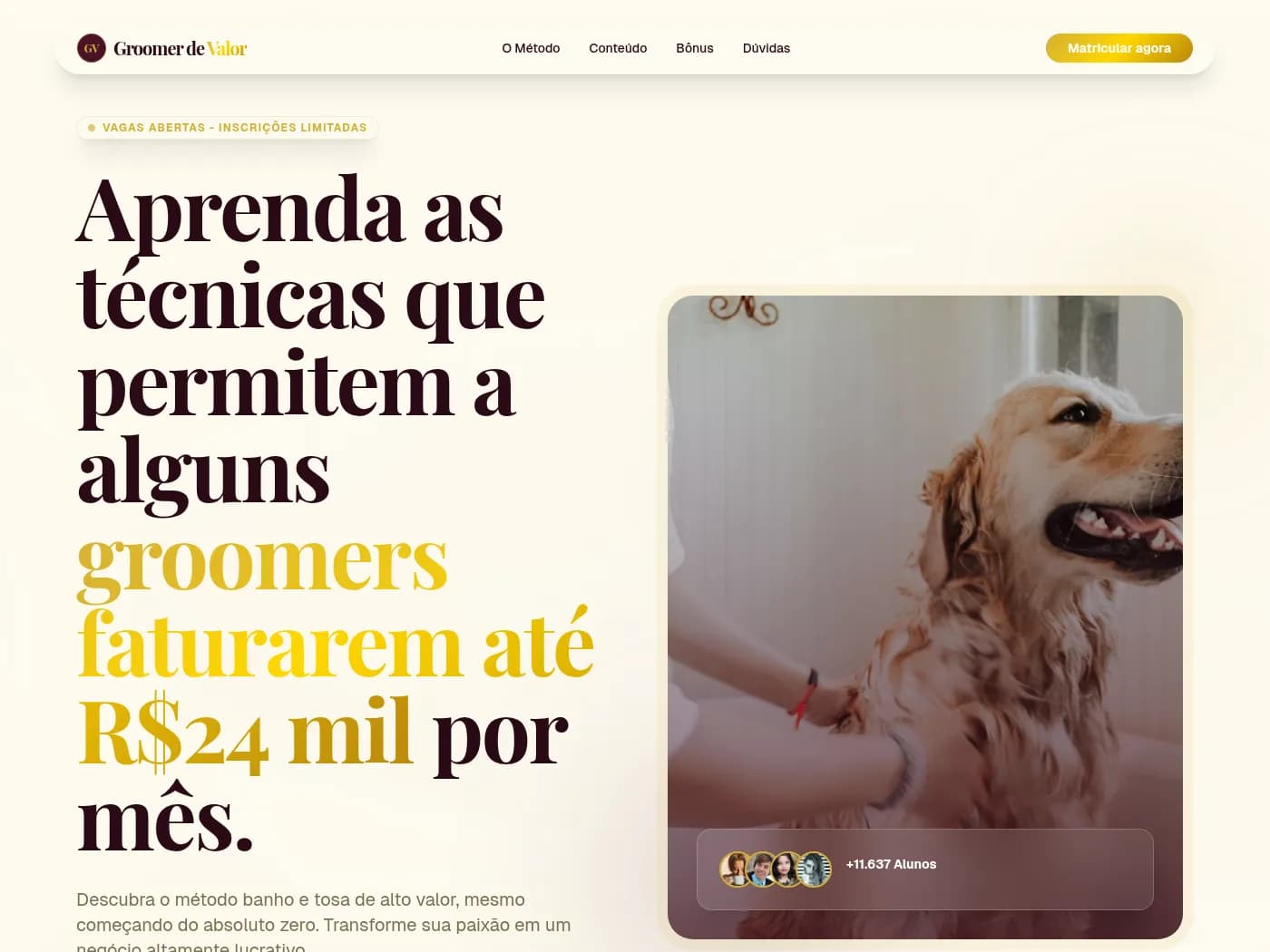 Groomer de Valor Sales Page