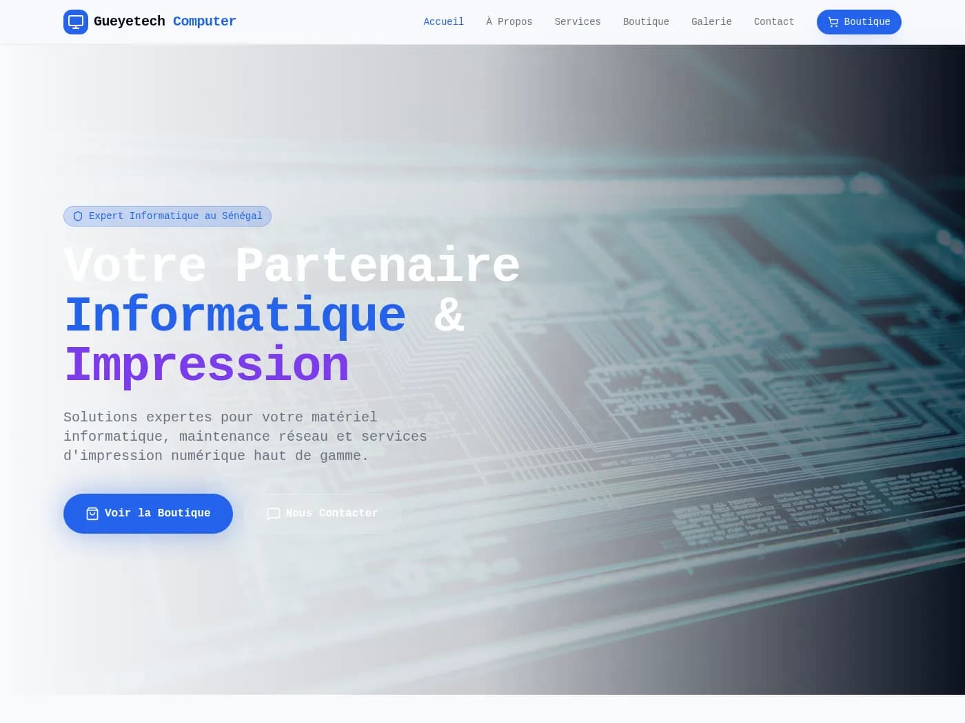 Gueyetech Pro Webshop