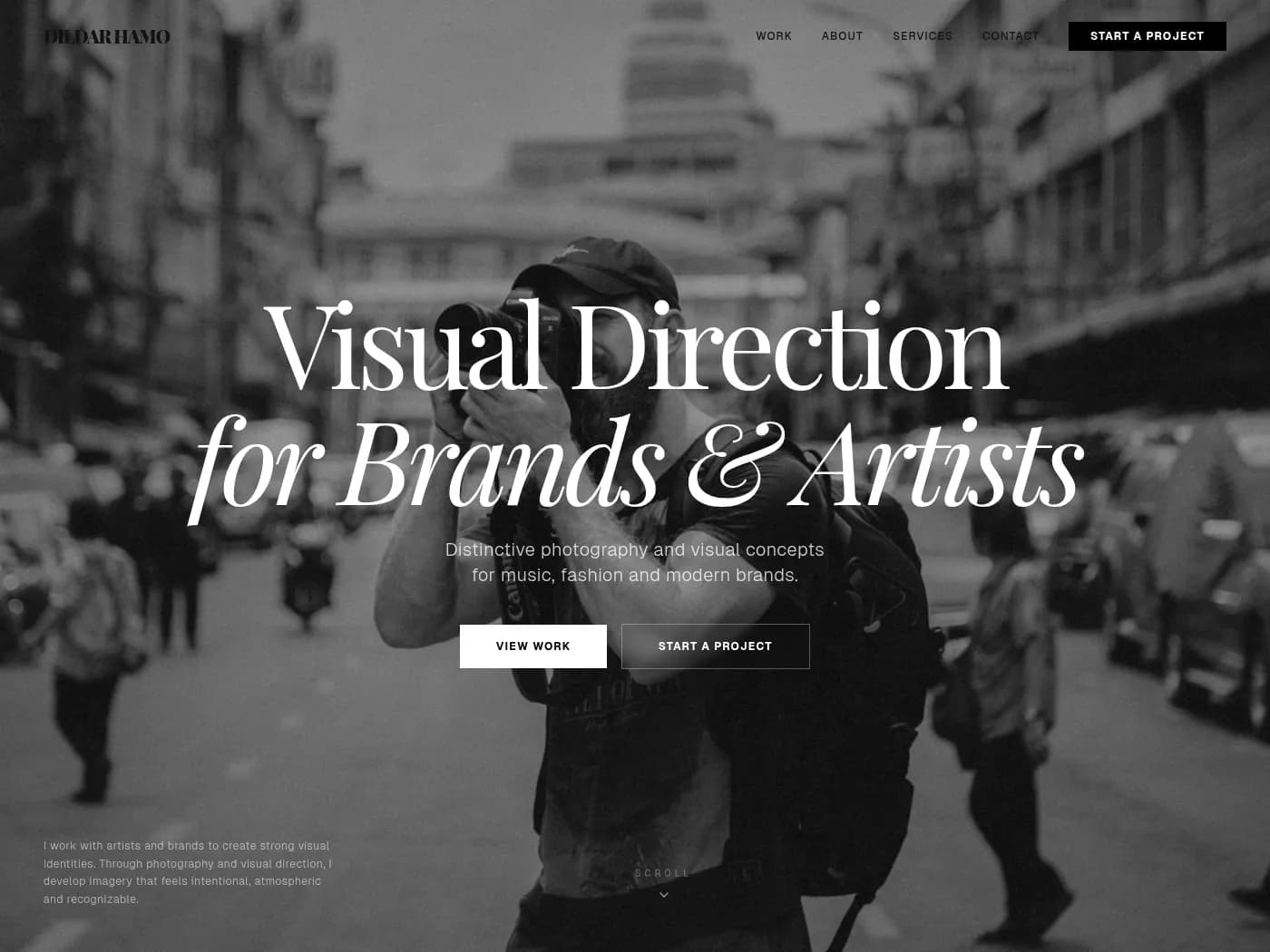 Hamo Visual Portfolio
