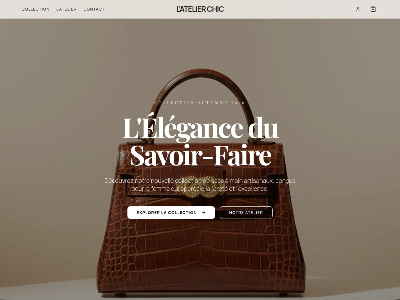 Chic Handbag Storefront