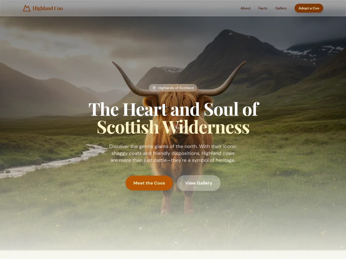 Highland Cow Mini Site