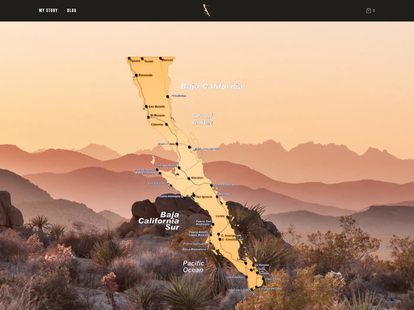 HighRisk Replica Site