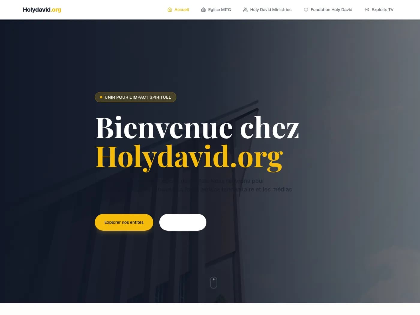 Holydavid Group Website