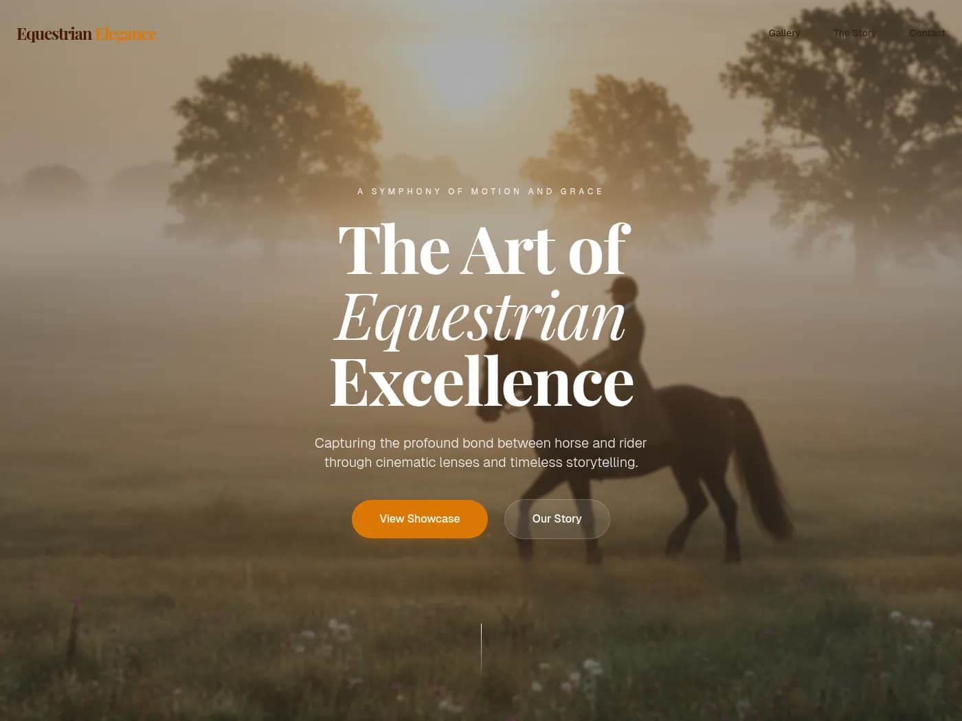 Horse Rider Showcase