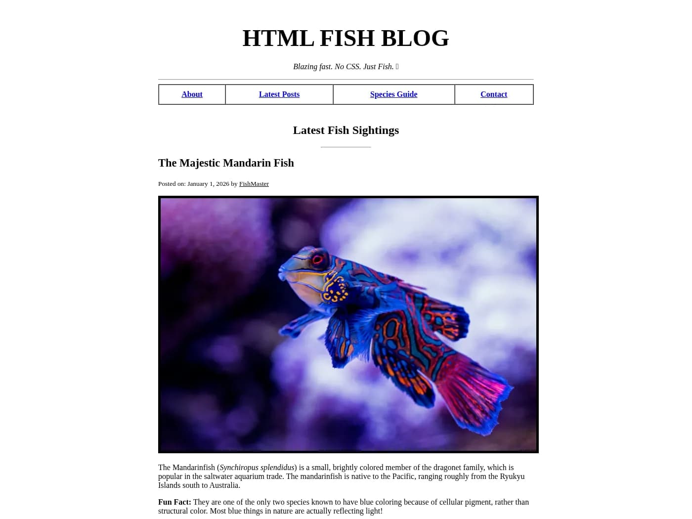 HTML Fish Blog