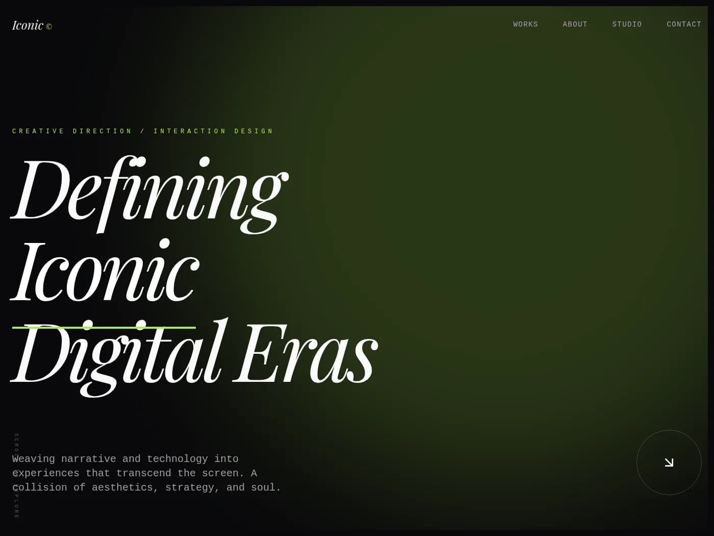 Iconic Portfolio Experience