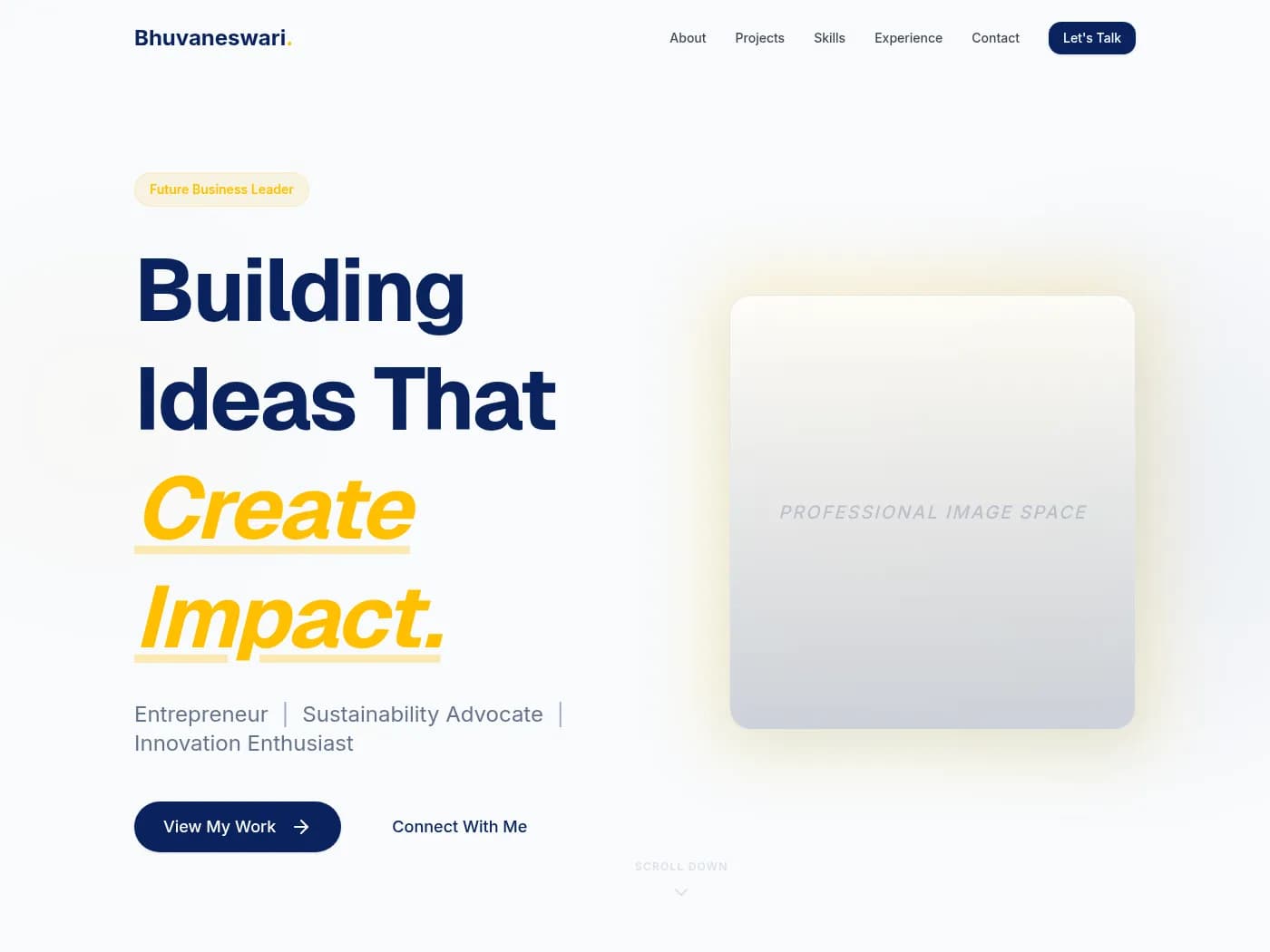 Impact Innovator Portfolio