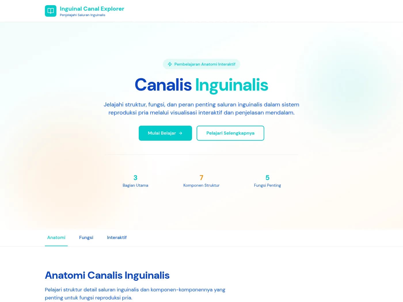 Inguinal Canal Explorer