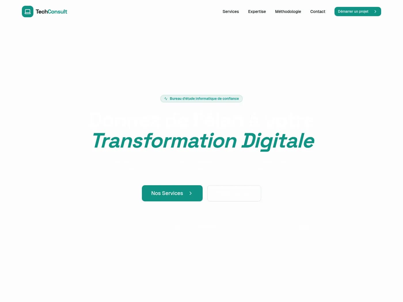 TechConsult Web Presence