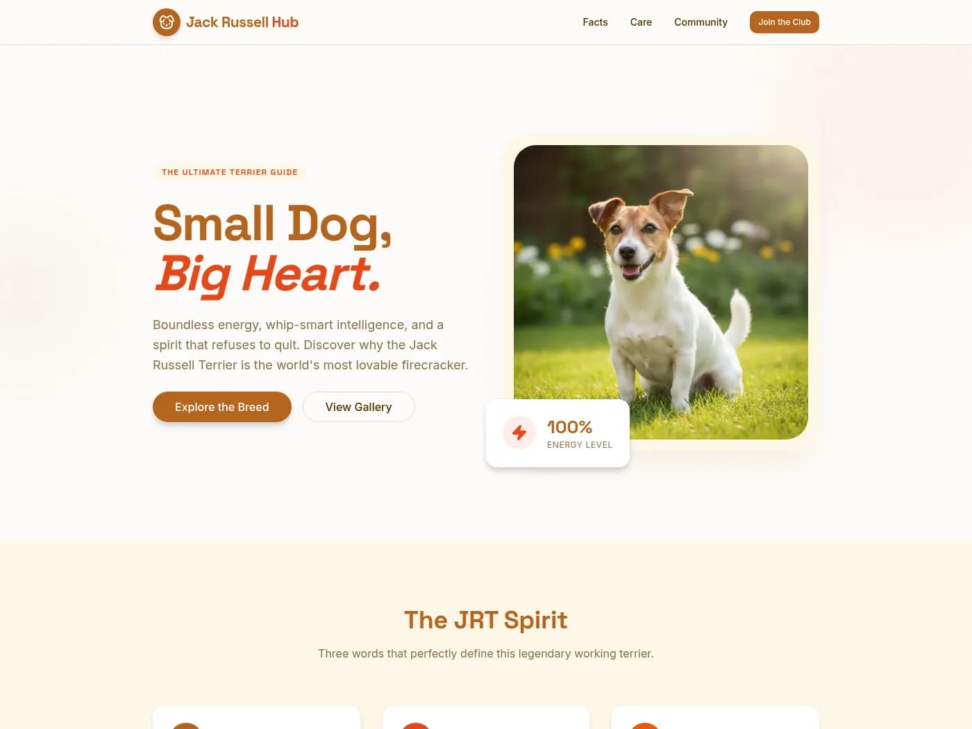 Jack Russell Hub
