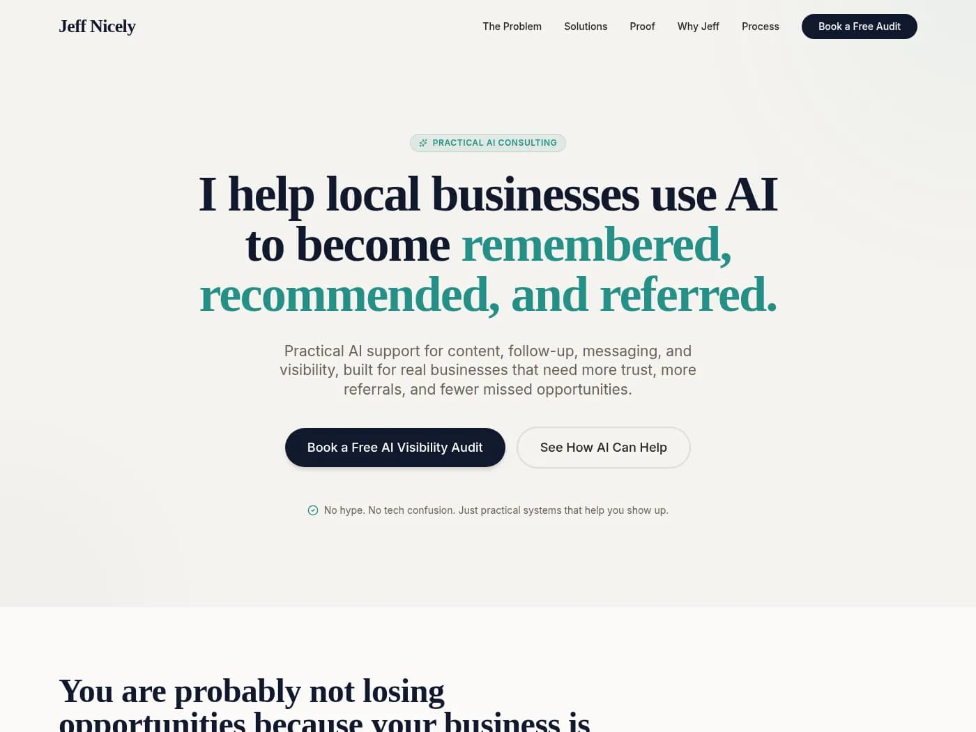 Jeff Nicely AI Consulting