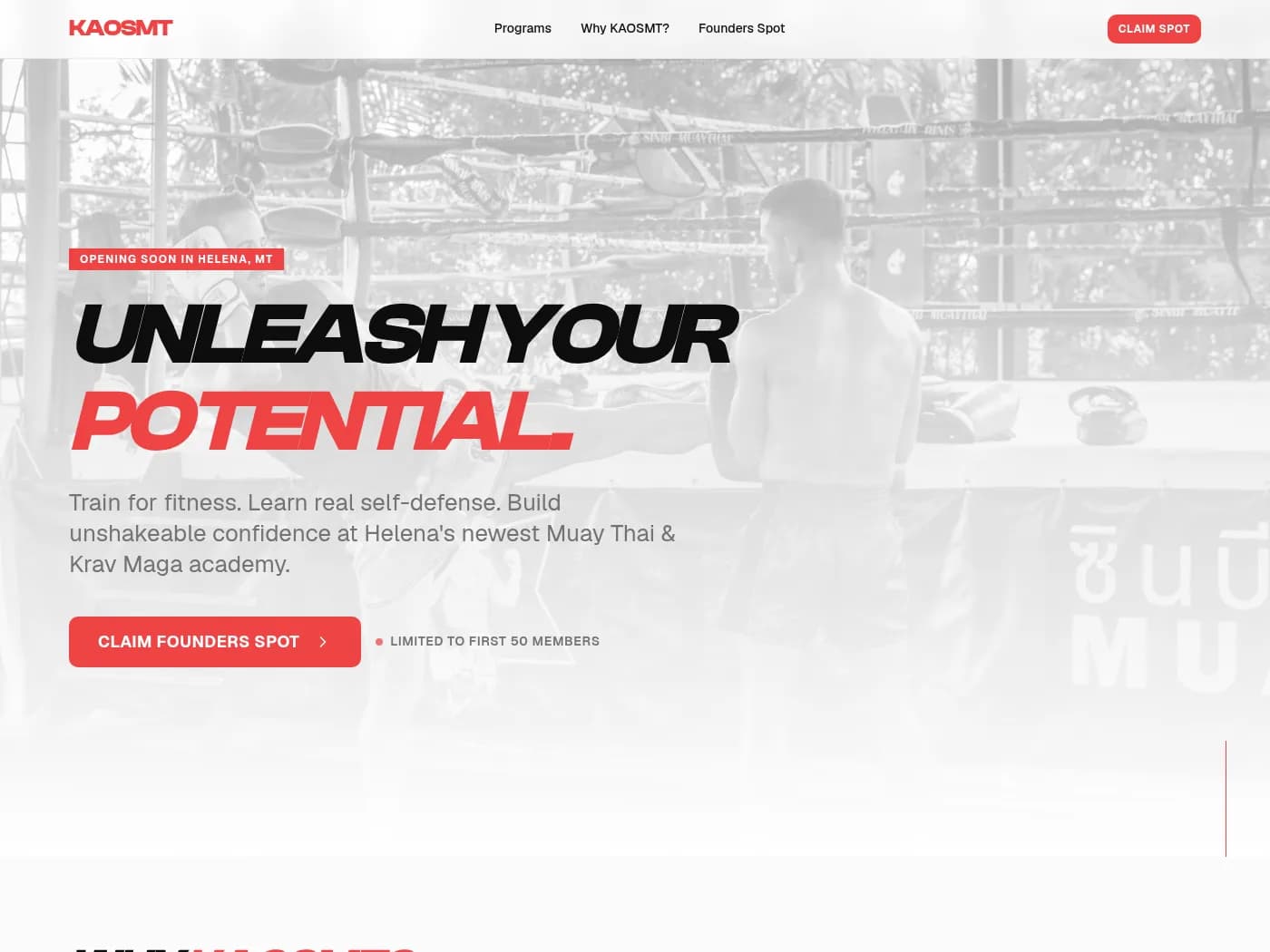 KAOS MT Site Refresh