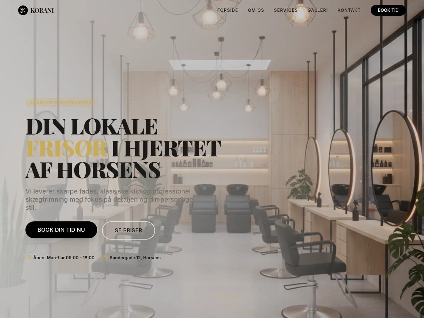 Kobani Salon Web Presence