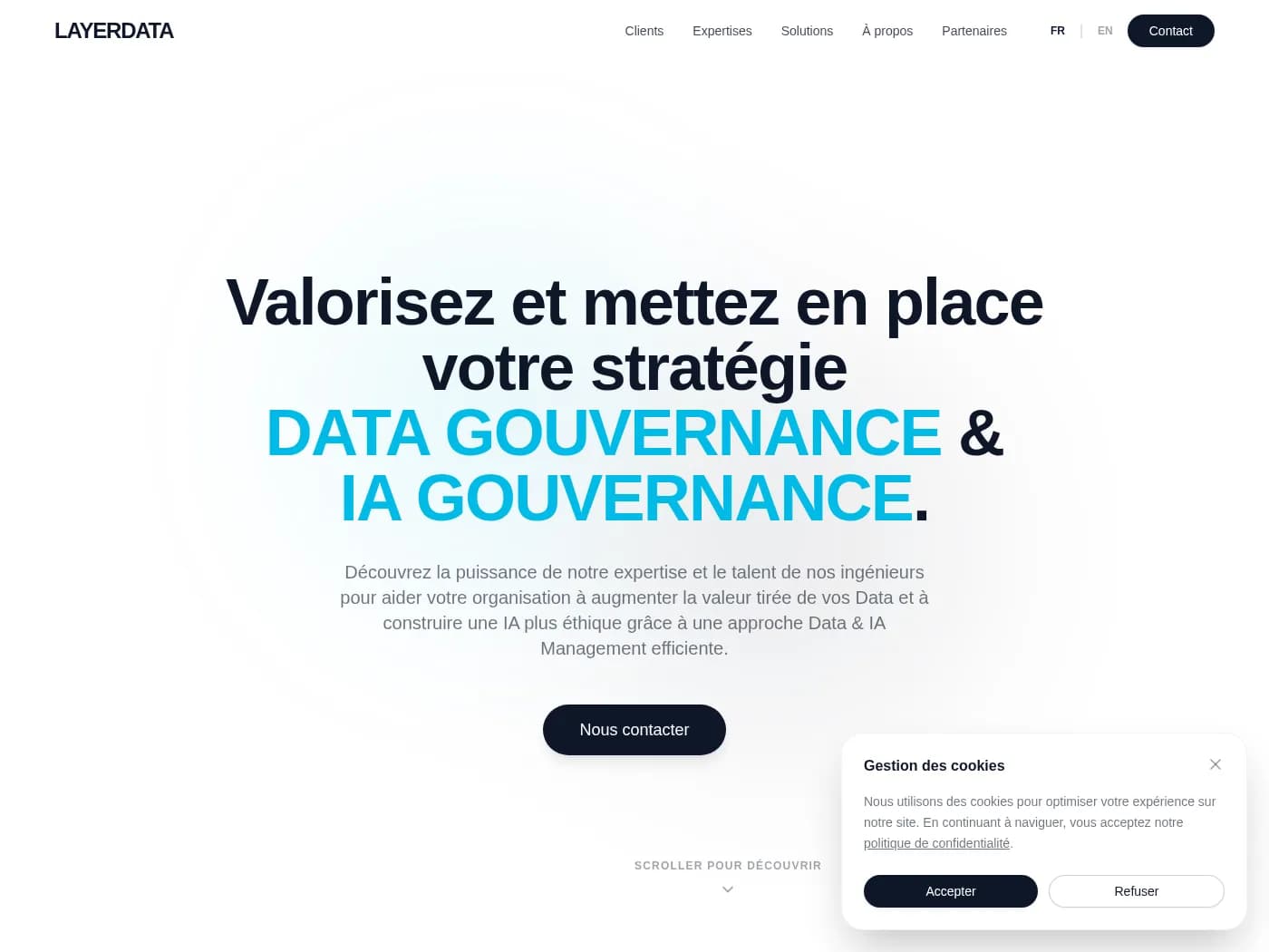 LayerData Landing Clone
