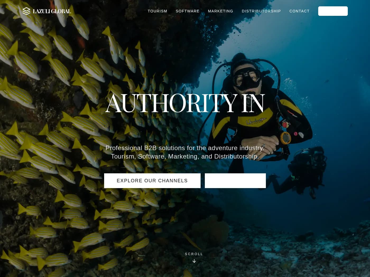 Lazuli Global Website