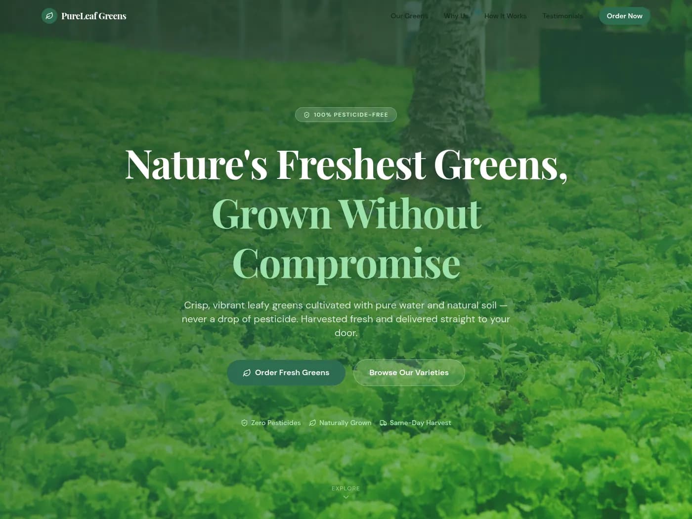 Fresh Greens Landing
