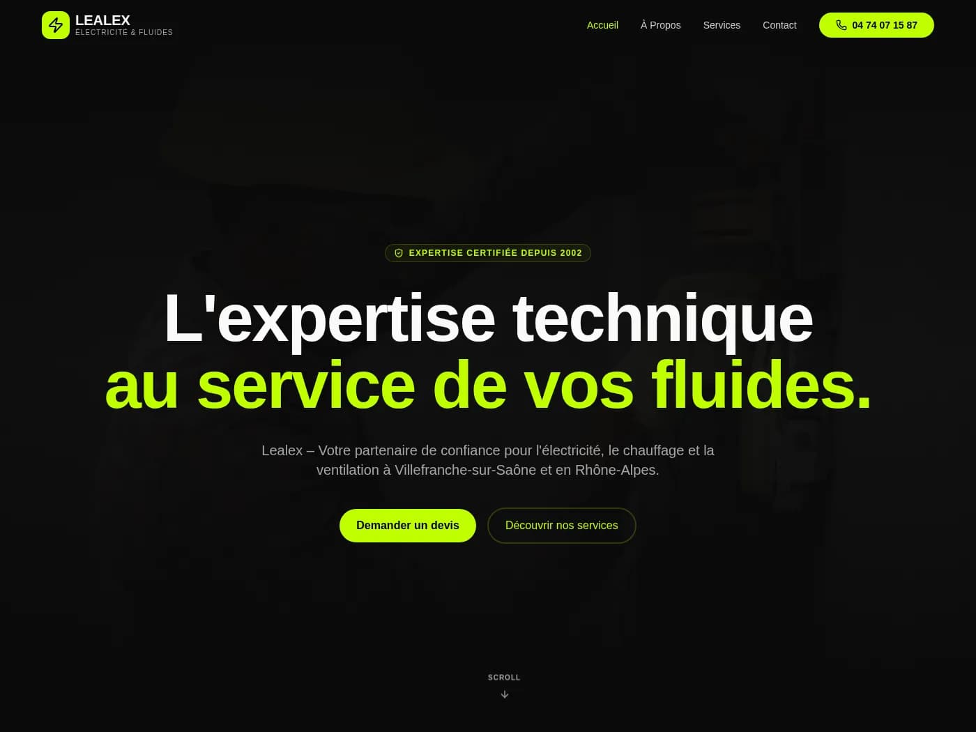 Lealex Pro Web Presence