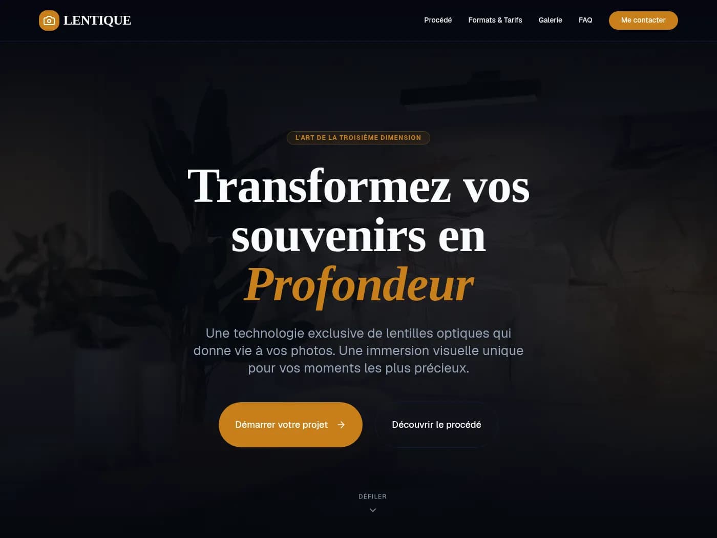 Lentique 3D Art Web