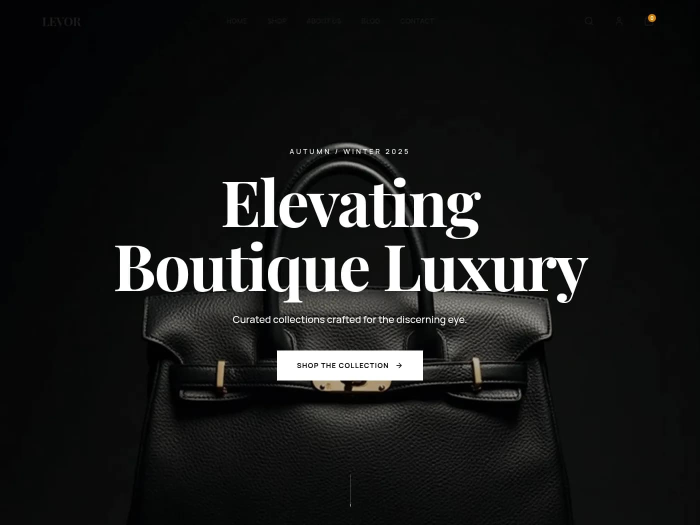 Levor Portfolio Clone