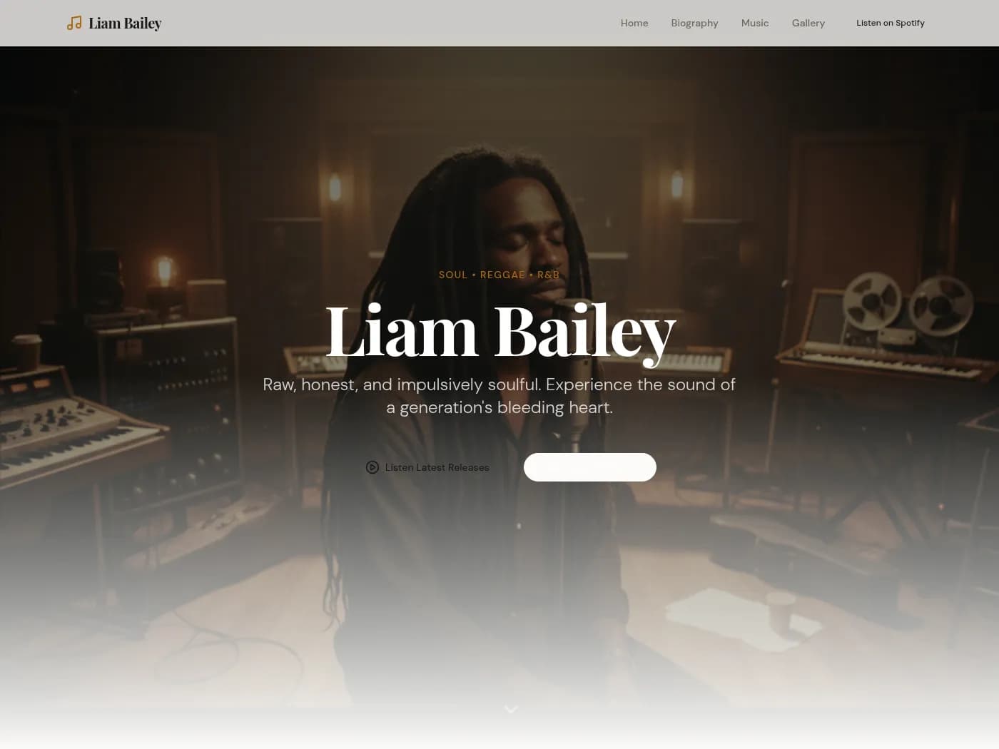 Liam Bailey Intro Site