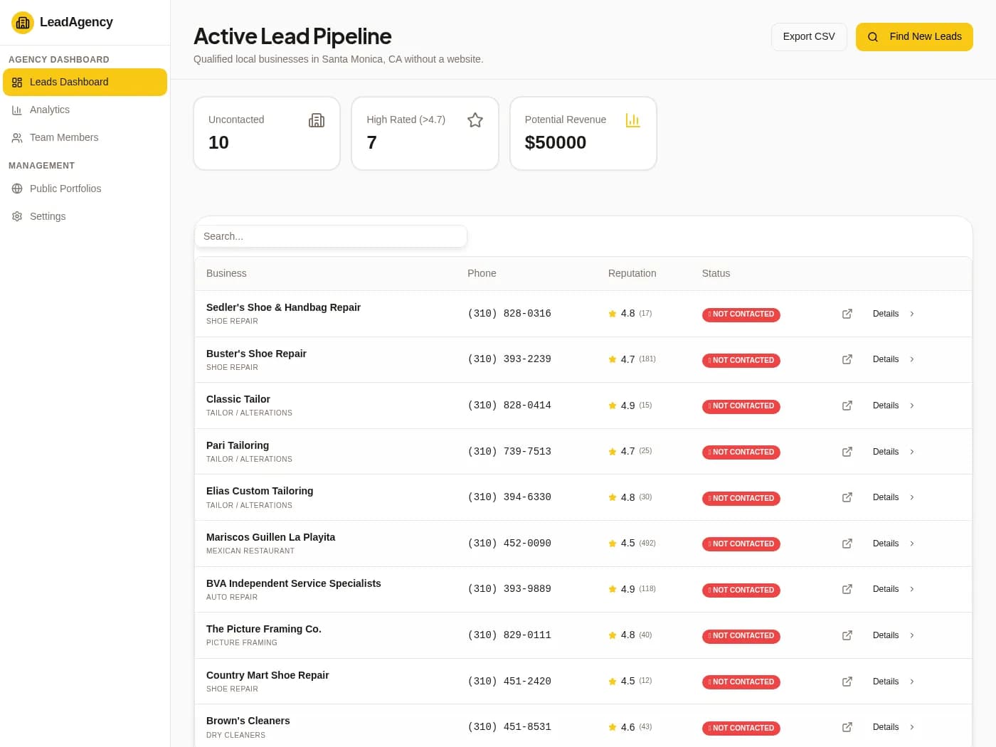 Local LeadSite Agency