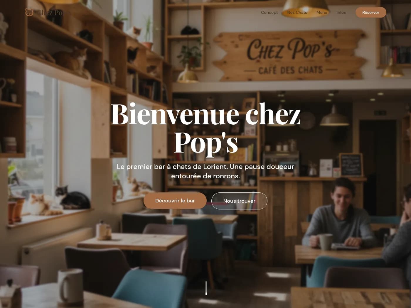 Lorient Cat Bar Site