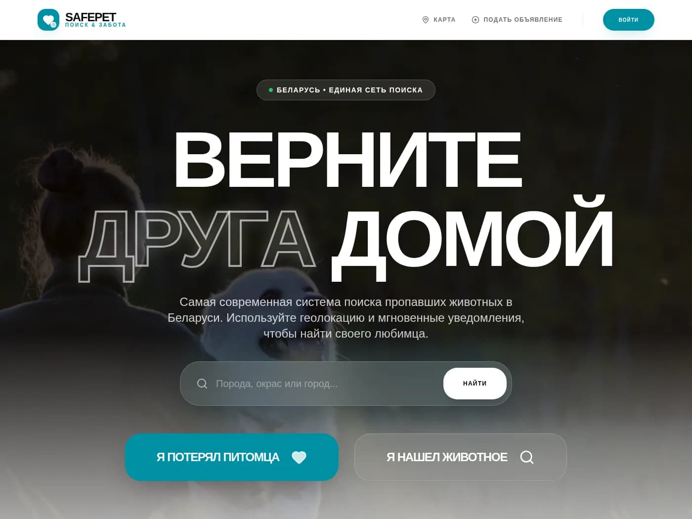 Lost & Found Pets Hub