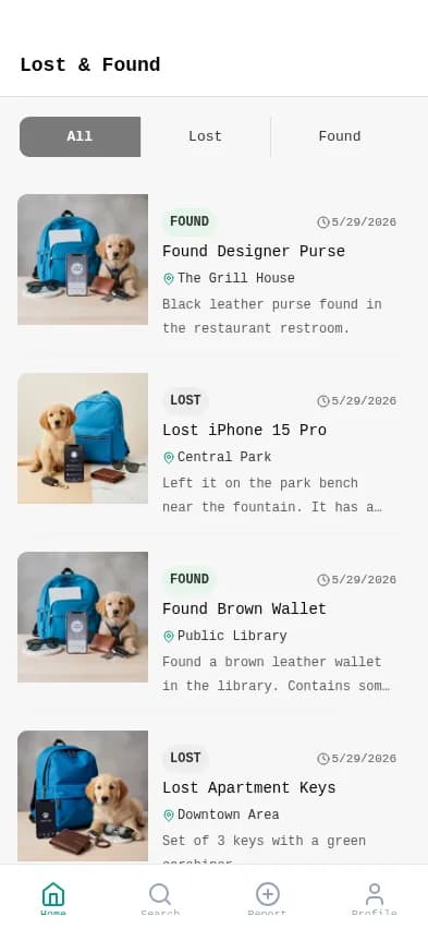 Lost & Found Template