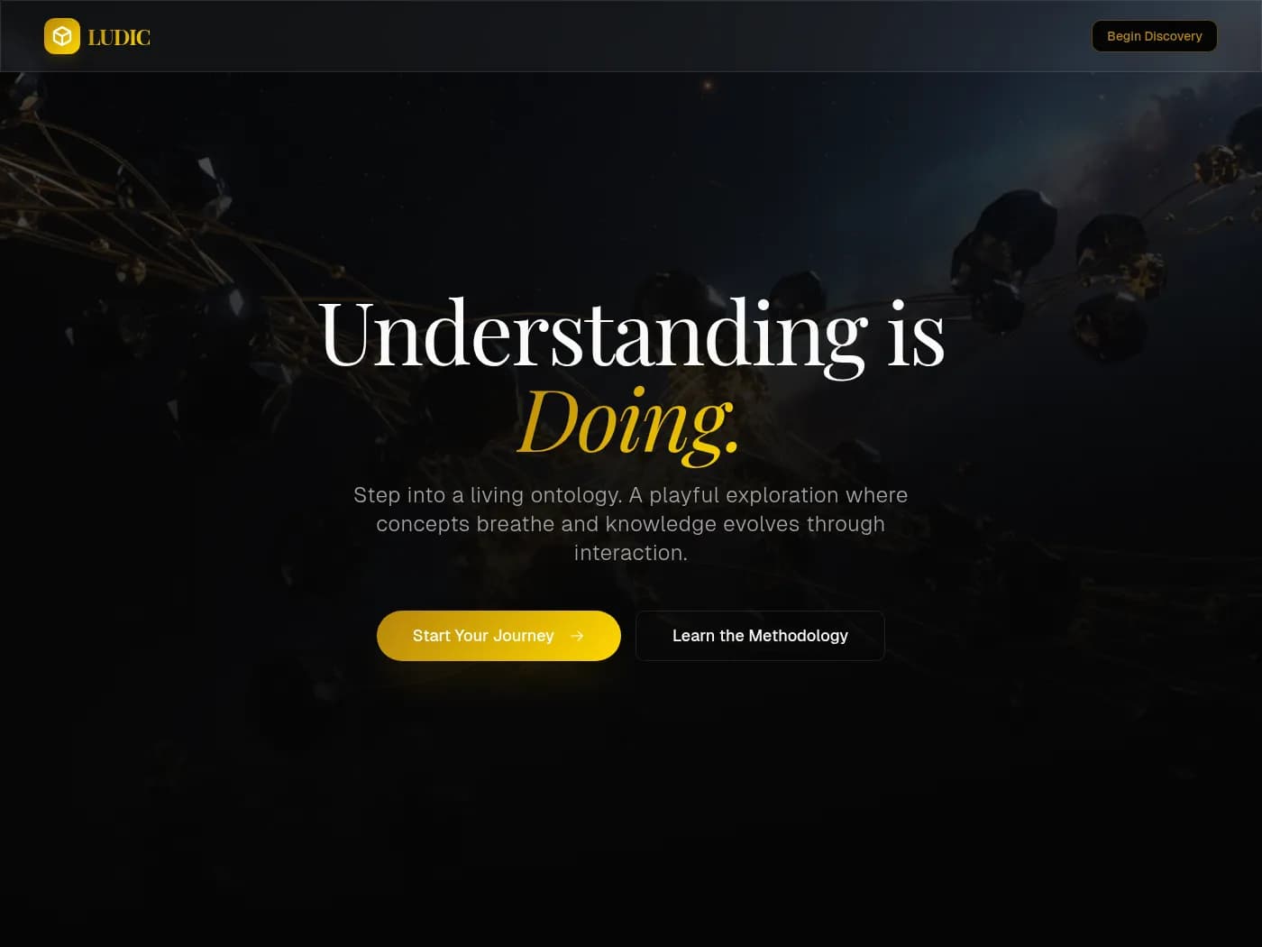 Ludic Insight App