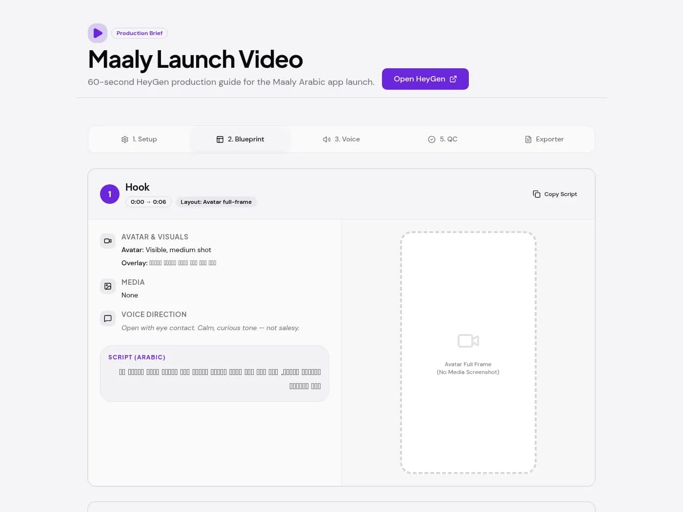Maaly Launch Video Brief