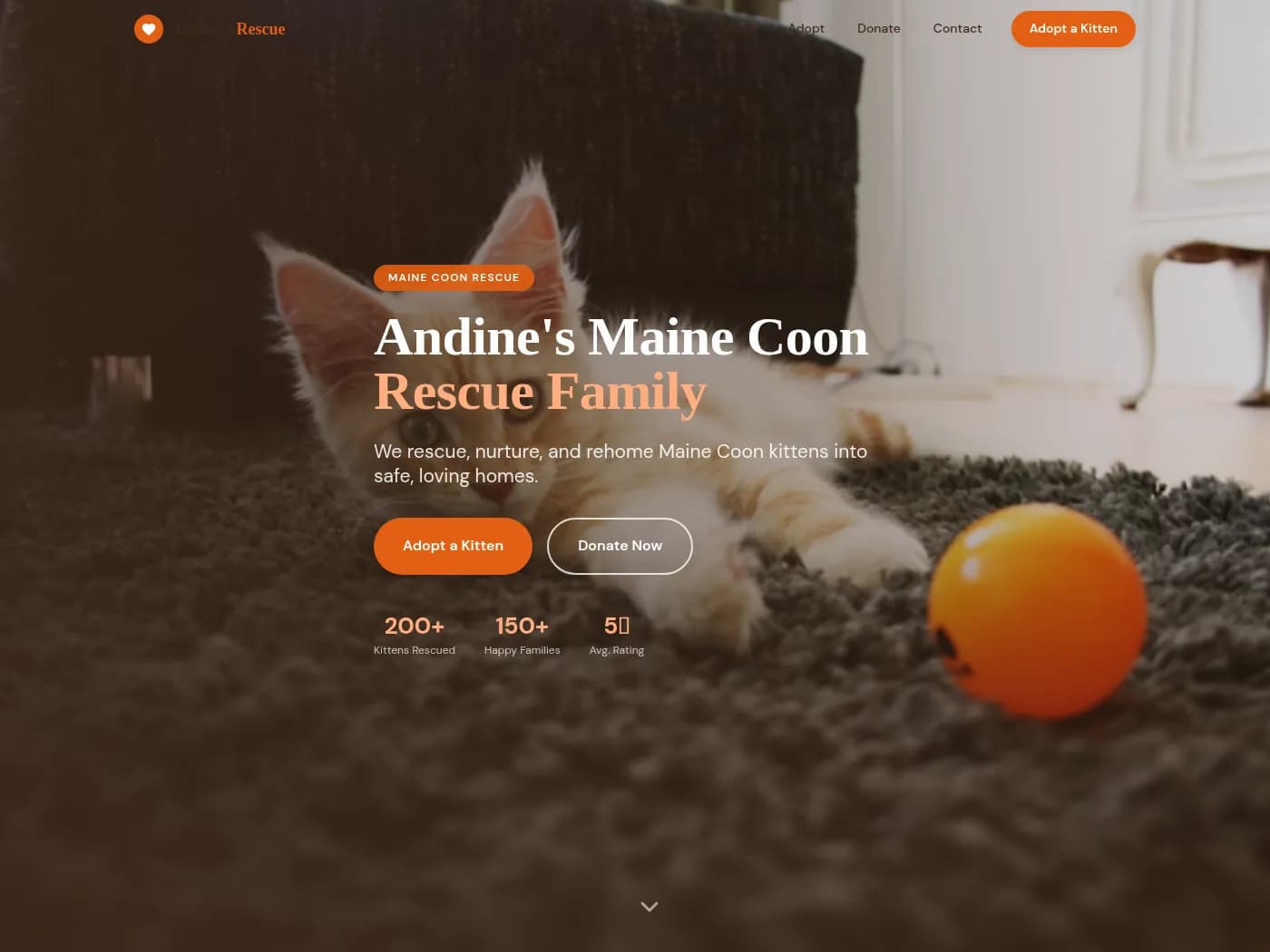 Andine's Maine Coon Rescue