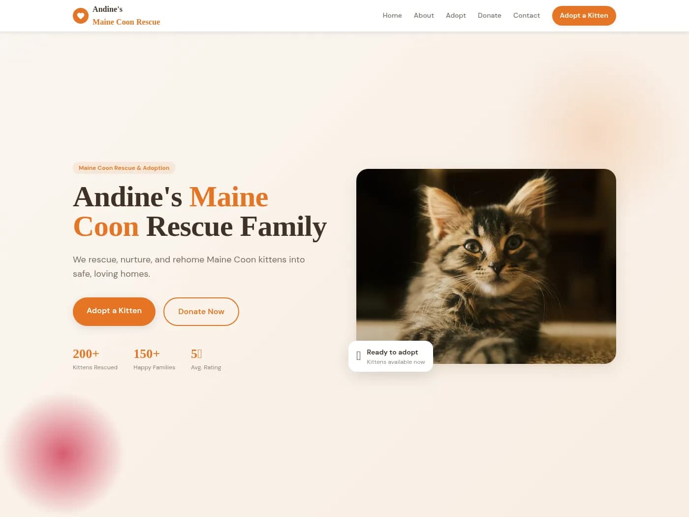 Andine’s Maine Coon Rescue