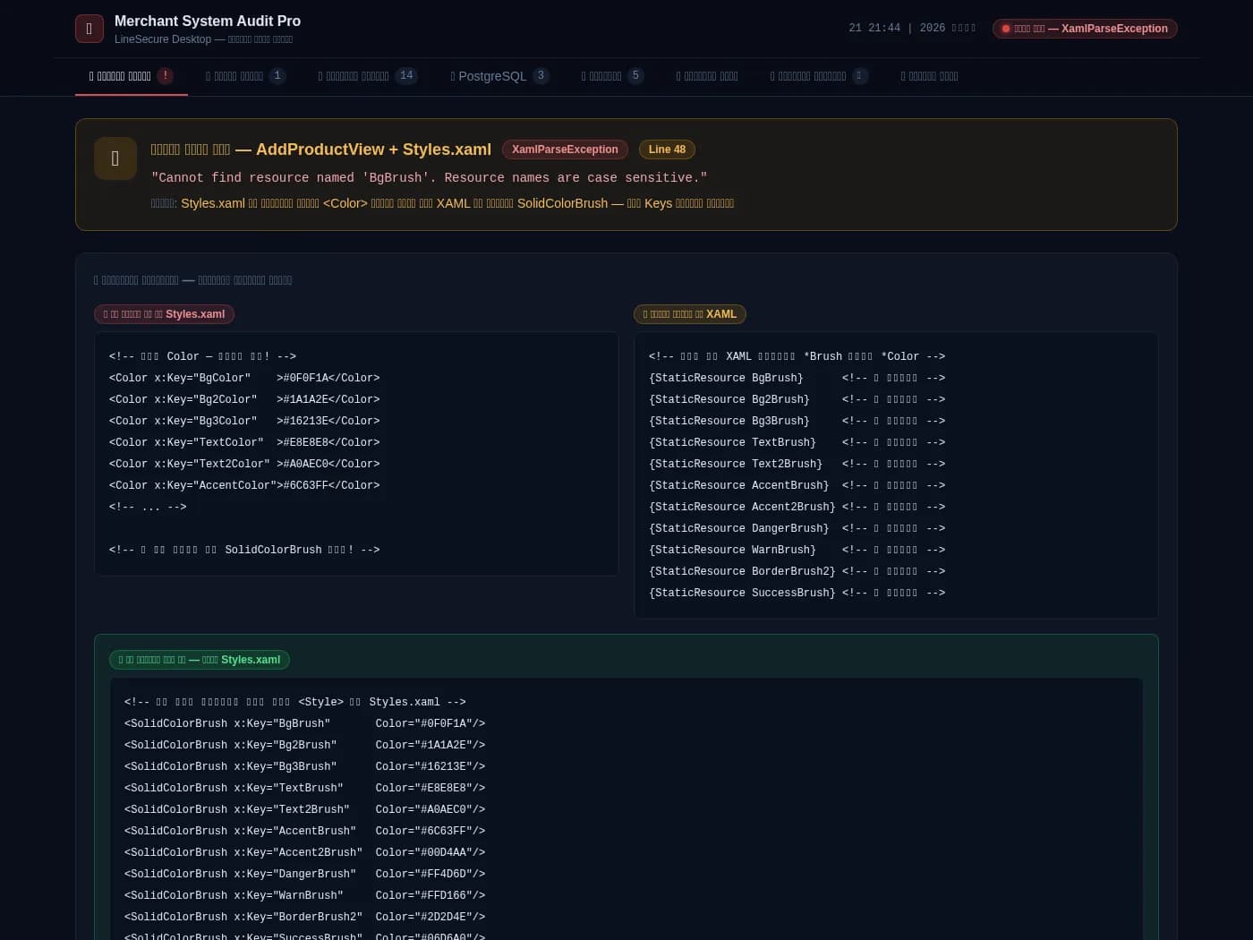 Merchant System Audit Pro