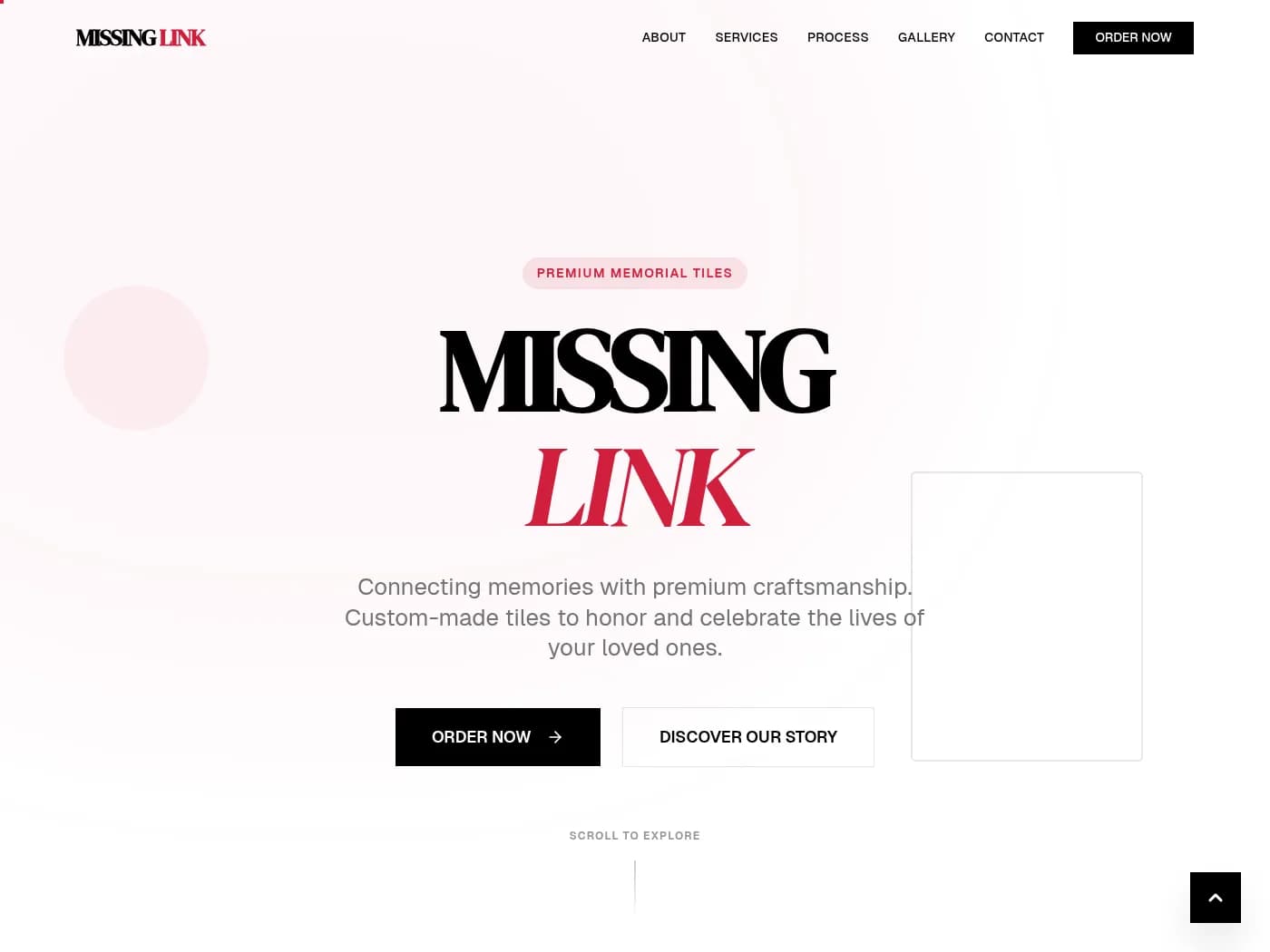 Missing Link Web