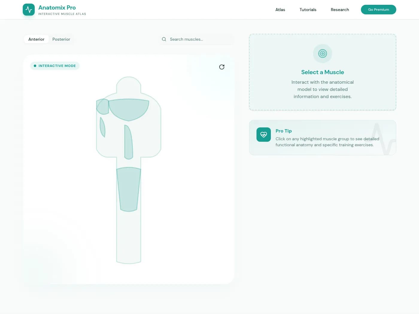 Model 3 Responsive Web