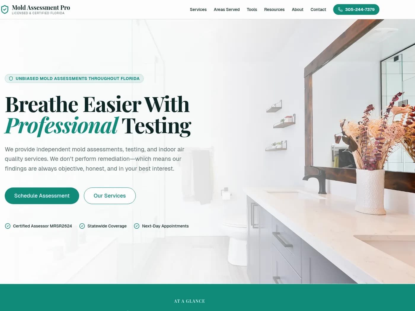 Mold Assessment Pro Web