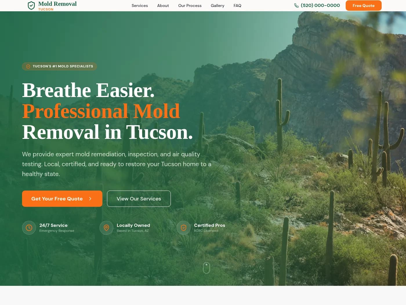 Mold Removal Tucson