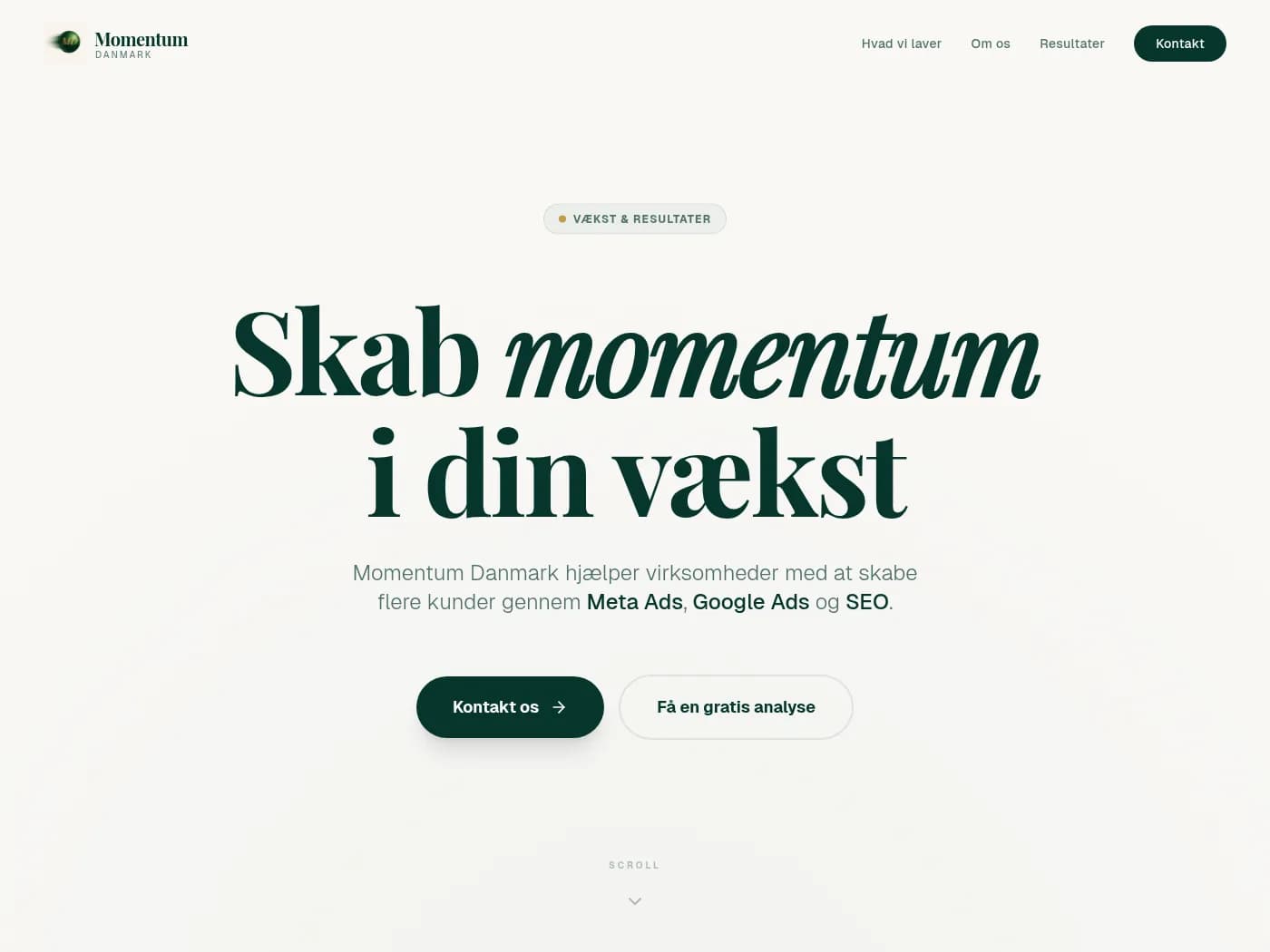 Momentum Danmark Web
