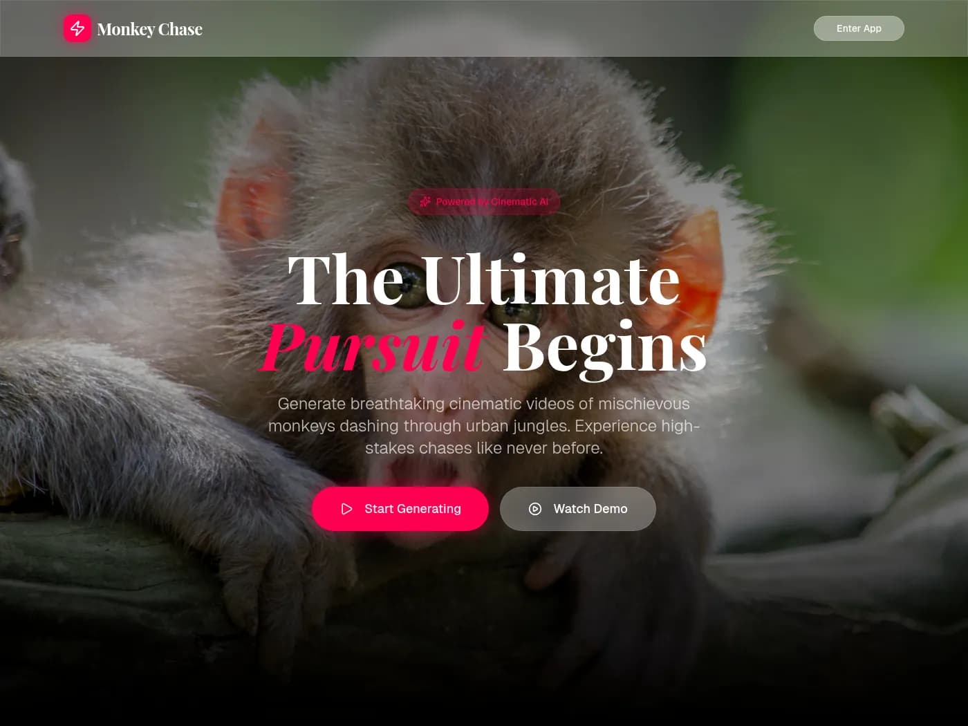 Monkey Chase Video Game
