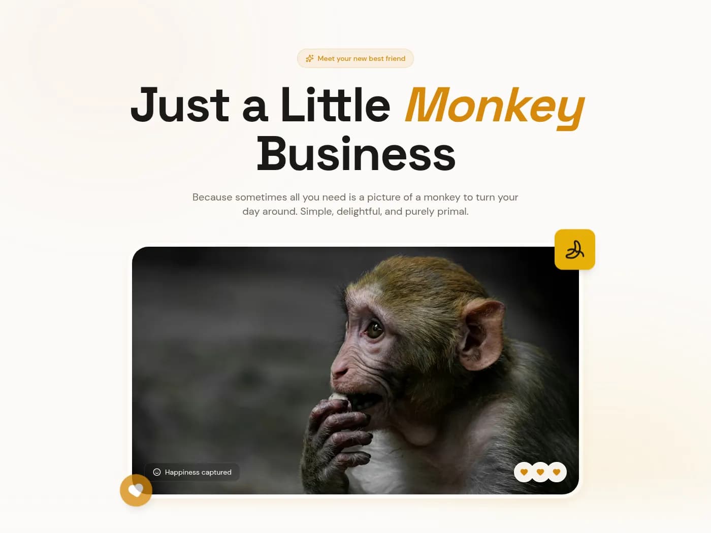 Monkey Pic Page