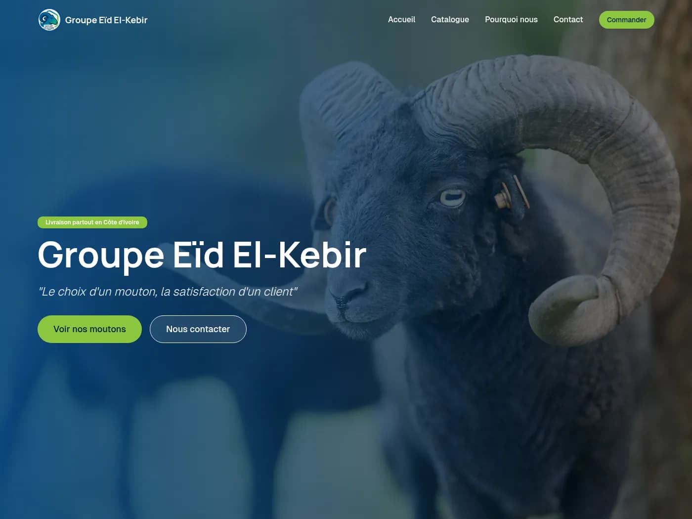 Mouton Côté d'Ivoire