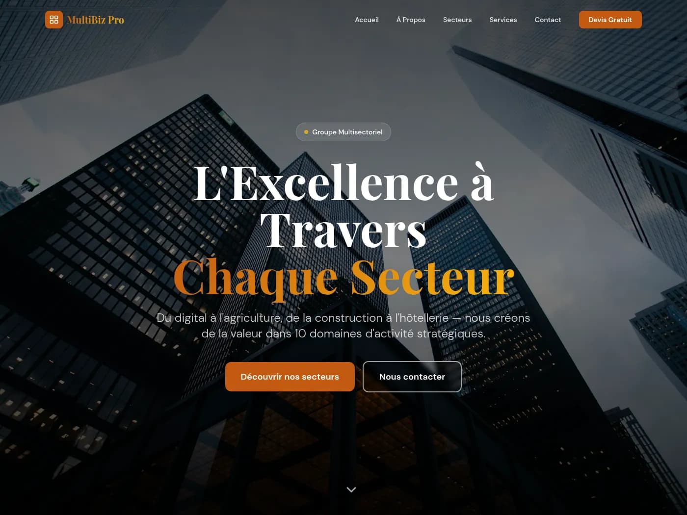 MultiBiz Pro Web Portal