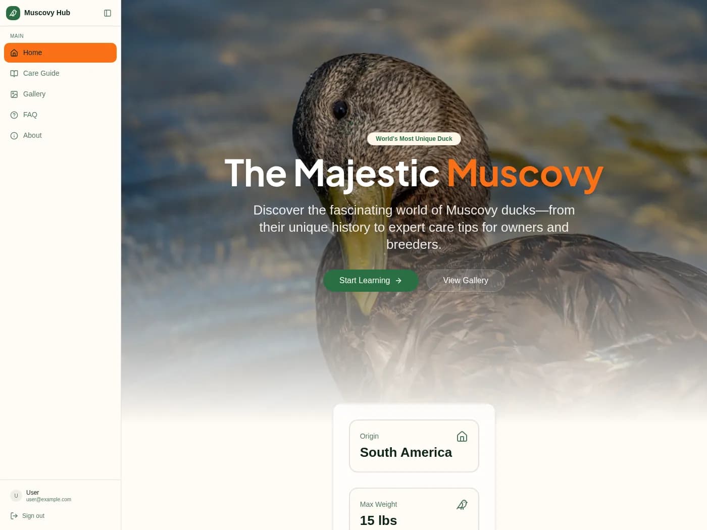 Muscovy Ducks Hub