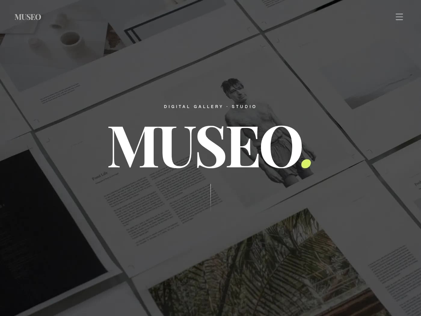 Museo Portfolio Gallery
